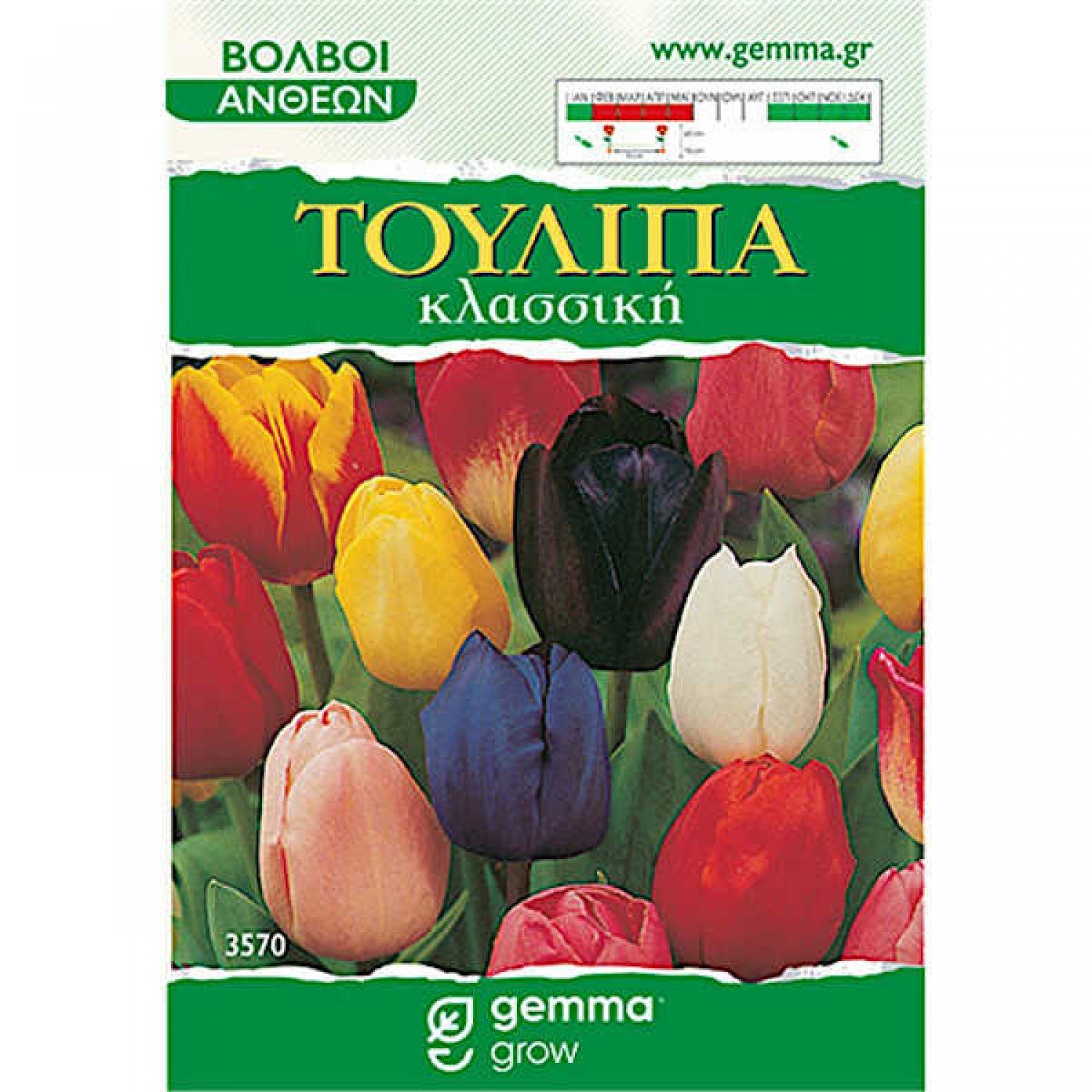 Tulips Classic Mix (Tulipa spp.) Bulbs - Fall Planting