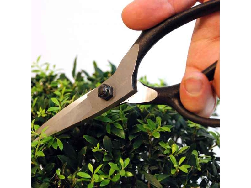 Bonsai Scissors 55mm OKATSUNE 201 Medium Model