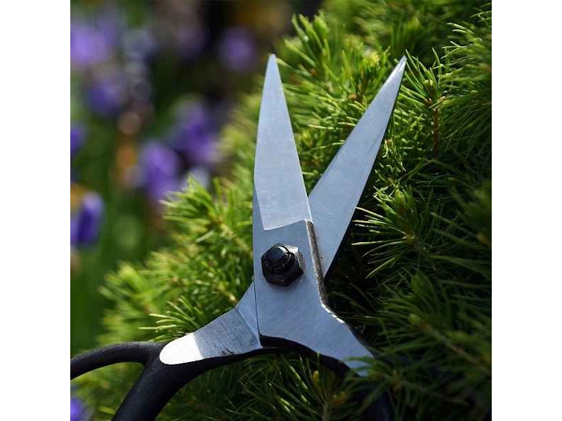 Bonsai Scissors 55mm OKATSUNE 203 Medium Model