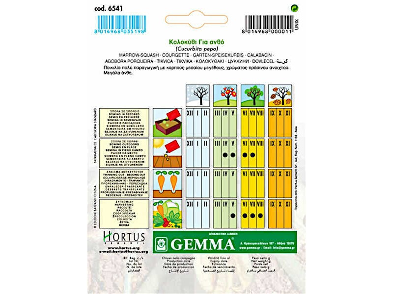 Perla Marrow Squash Seeds 5g Packet (Cucurbita pepo 'Perla')