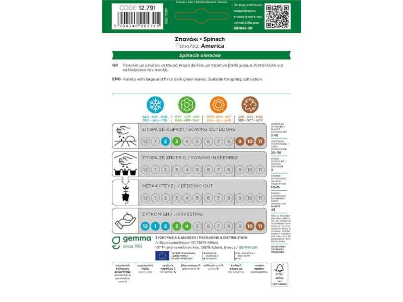 Σπανάκι America 15g Σπόροι-Spinacia oleracea 'America'
