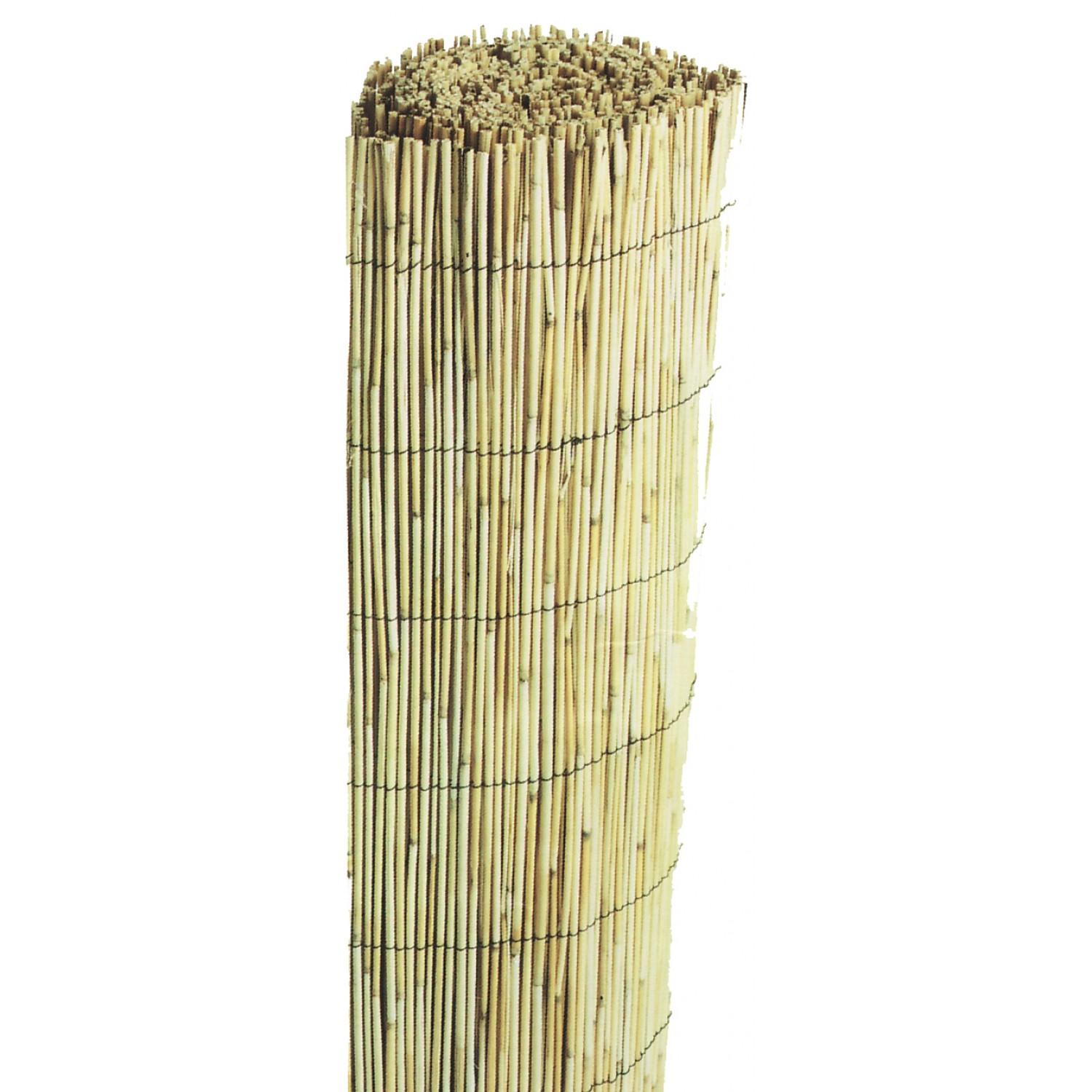 Reed fences thin 100(Υ)x300cm