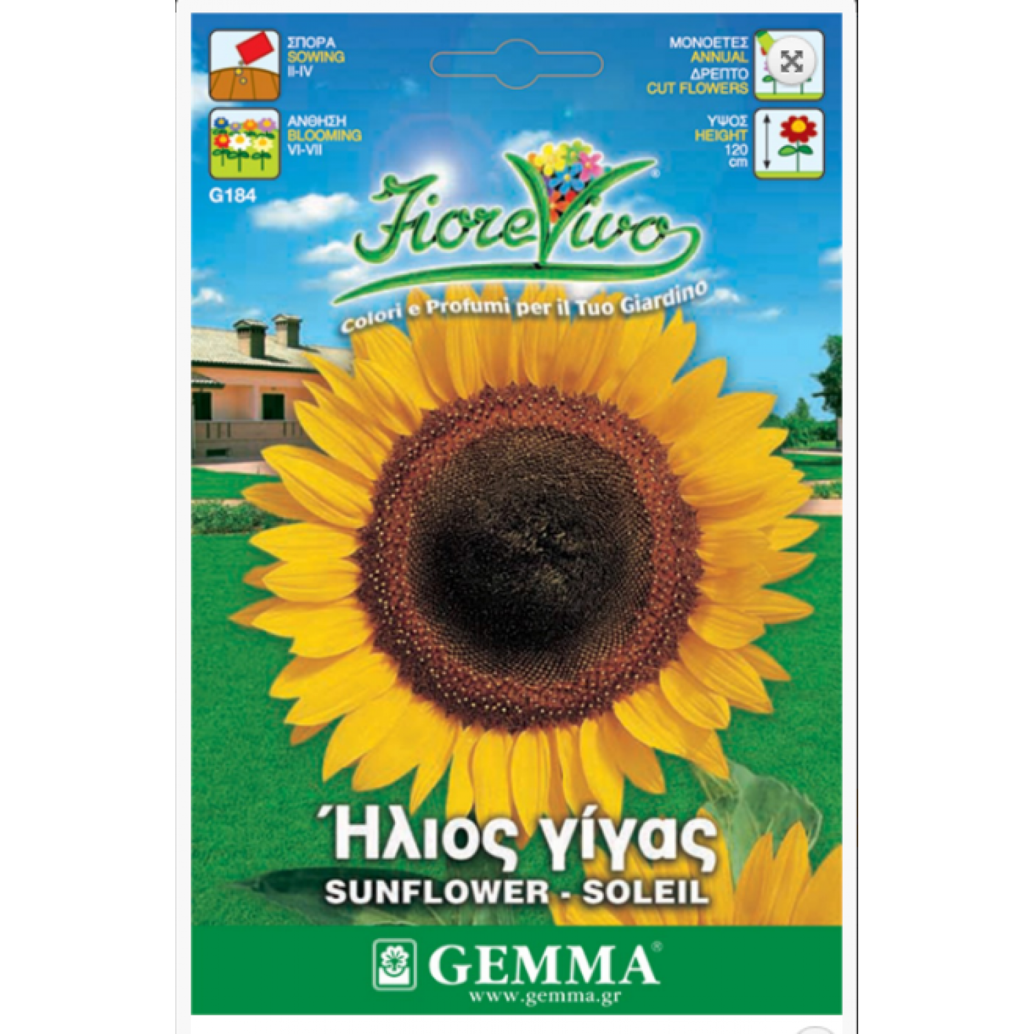 Ήλιος Νάνος Διπλός 1g Σπόροι Φάκελος-Helianthus annuum