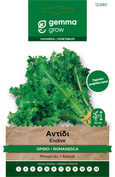 Αντίδι Κατσαρό Όρθιο Σκούρο 10g Σπόροι Romanesca Taglio