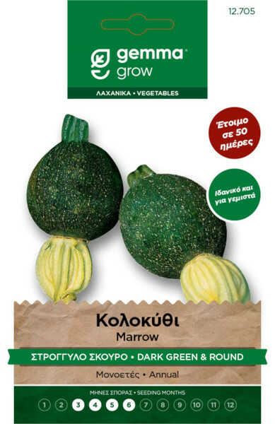 Tondo Piacenza Marrow Squash Seeds 5g Packet