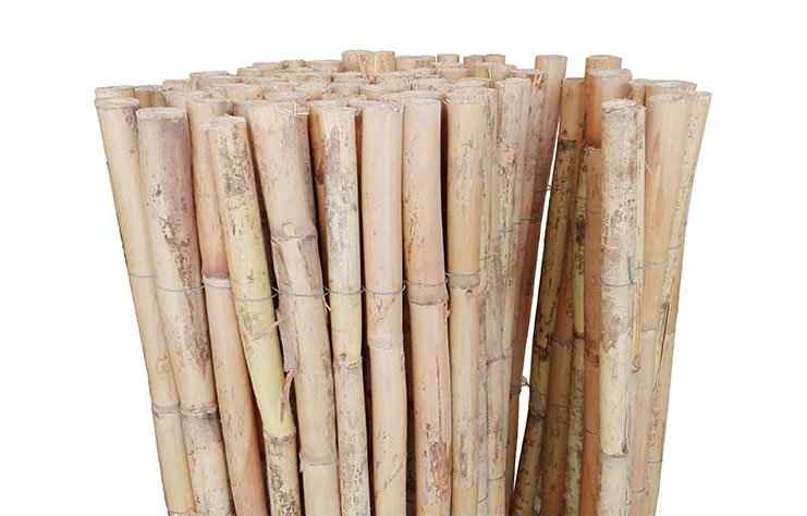 Reed Roll by Greek River Biennial Cane D2-2.5cm 1(H)x3m